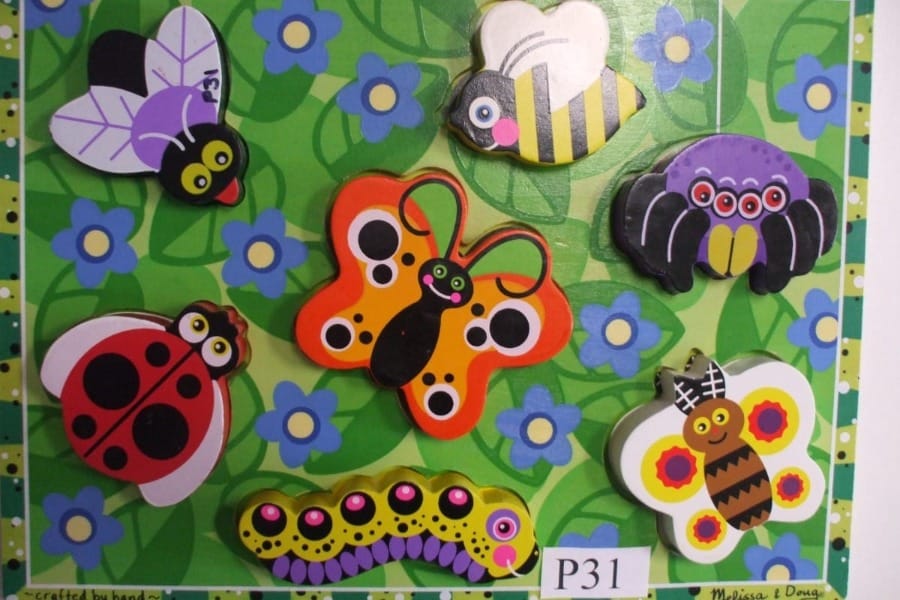 Insects Puzzle